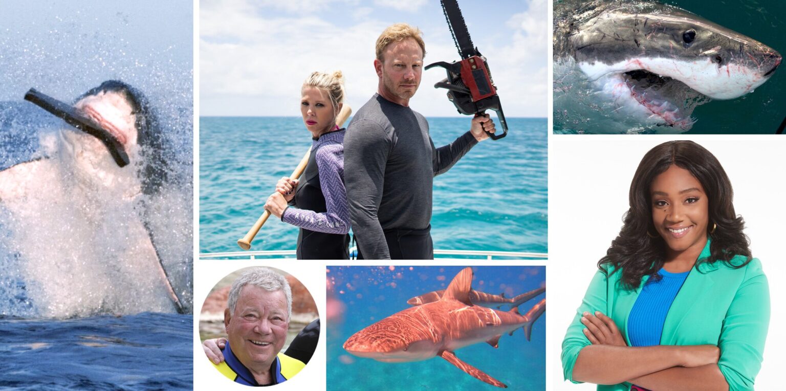 DISCOVERY CHANNEL'S SHARK WEEK 2021 SWIMS OFF WITH JAWSOME LINEUP FEATURING MORE HOURS OF SHARK ...